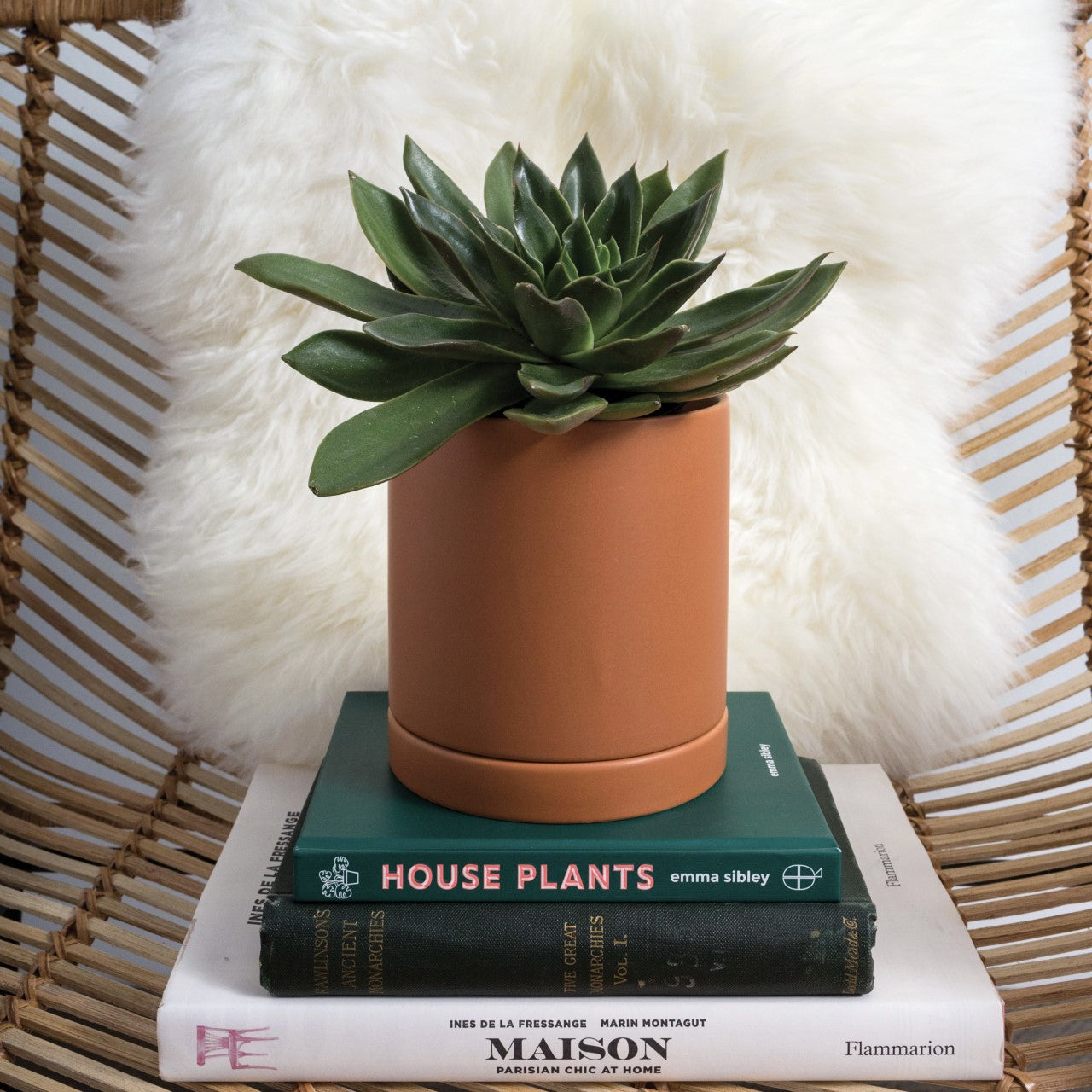 Terracotta Romey Pot – Shop Blythe Interiors